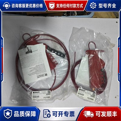 议价BRADY贝迪通用缆锁50941实物物拍摄请可维修