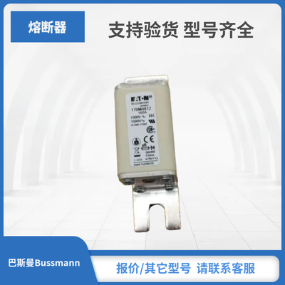 Bussmann熔断器保险丝现货170M4814 170M4815 170M3965 170M3966