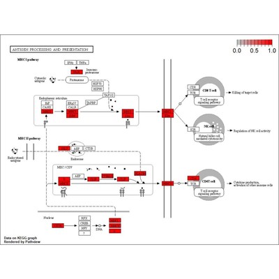 生信咨询代码作图思路数据等问题服务