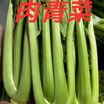 四川宜宾农家自种新鲜蔬菜肉青菜杆砍现发抱儿菜牛皮菜榨菜菱角菜