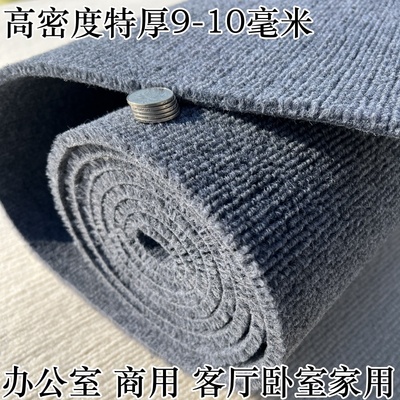 地毯卧室客厅大面积自由裁剪加厚全铺家用室内商用办公室地垫满铺