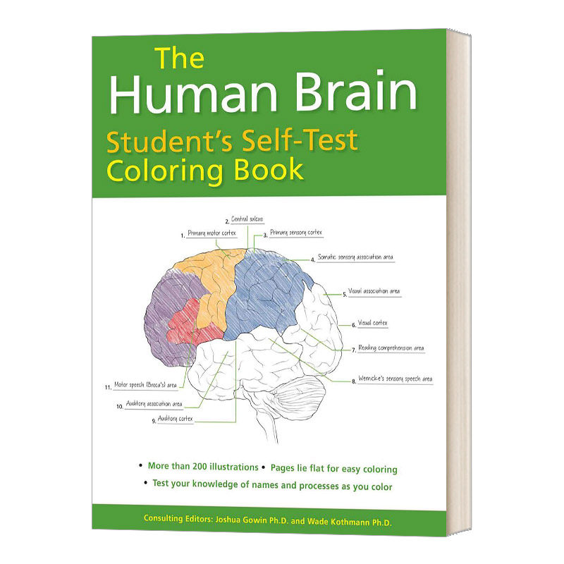 巴朗人体大脑学学生自测涂色书 Human Brain Student's Self-Test Coloring Book 英文原版考试类 进口英语书籍