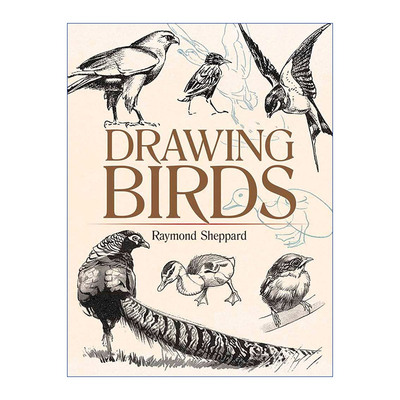 英文原版 Drawing Birds Dover Art Instruction 鸟类绘画指南 英国插画家Raymond Sheppard 英文版 进口英语原版书籍
