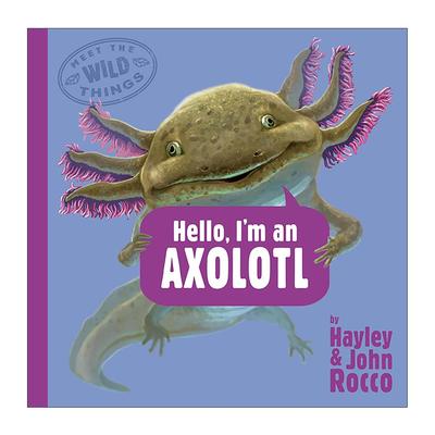 英文原版 Hello I'm an Axolotl Meet the Wild Things 04 你好 我是蝾螈 遇见野生动物系列4 儿童精装科普百科绘本 迪克银奖得主