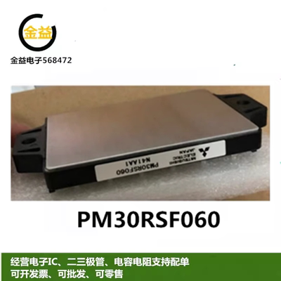 PM30RSF060GBT功率模块电源