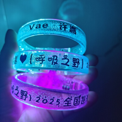 许嵩呼吸之野演唱会led发光手环