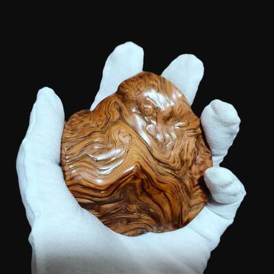 太行崖柏陈化料文玩随形根雕