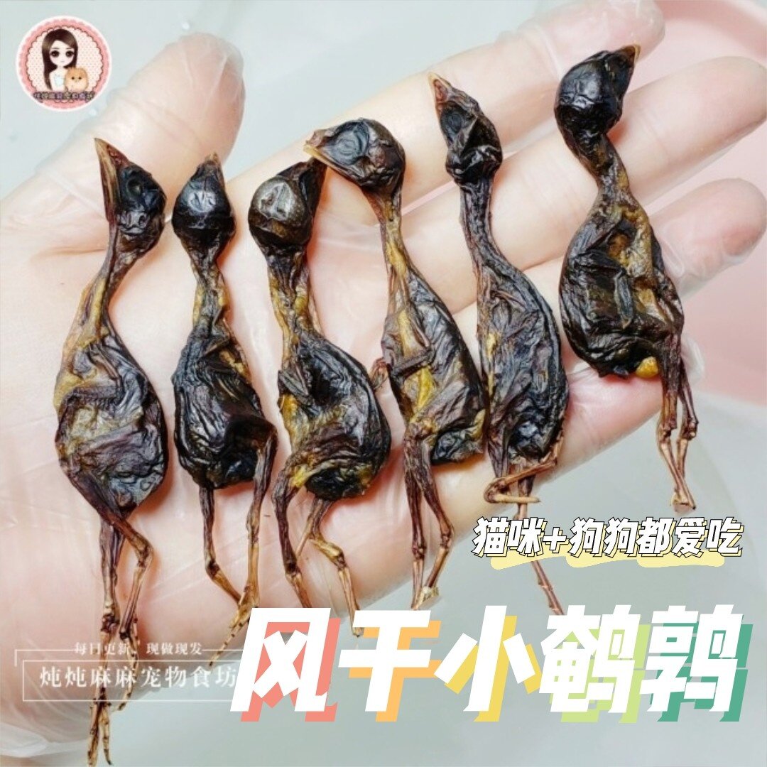 炖炖麻麻自制狗零食风干小鹌鹑非冻干泰迪奖励训练磨牙高蛋白增肥