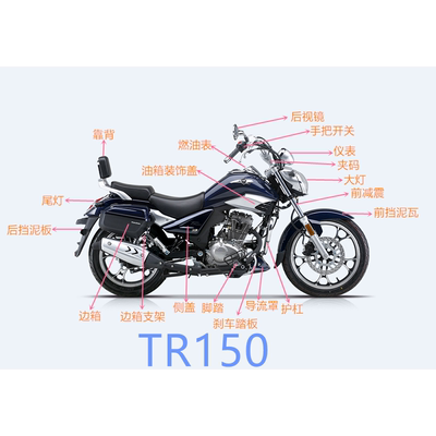 适用豪爵摩托车TR150//TR150C/HJ150-16/16C全车配件外壳仪表挡泥