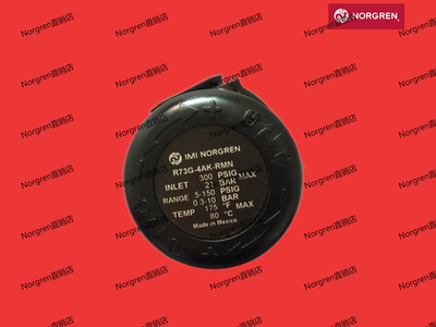 R73G-3AK-RMG 3BK 3GK RMN Excelon调压阀 NorgrenR73G系列减压阀