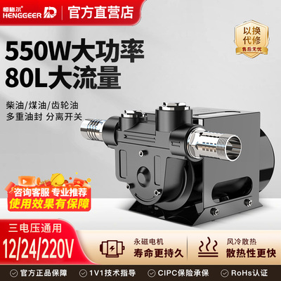 电动抽油泵12v24v220伏家用