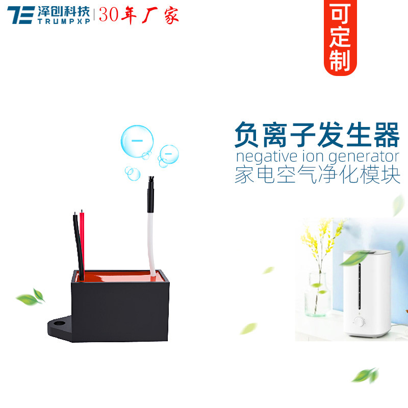 泽创TRUMPXP中型AC220V负离子发生器家电消烟空气净化配件CE认证