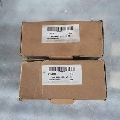 巴斯曼熔断器170M6163900A