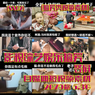 (SX02)搞笑影视综艺娱乐抖音快手短视频素材 竖屏 2079款 5.35G