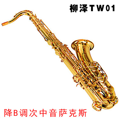 日本进口柳泽yanagisawa tw01降b调次中音