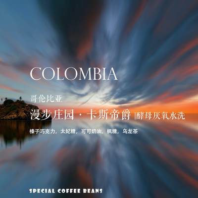 咖啡熟豆哥伦比亚漫步庄园水洗