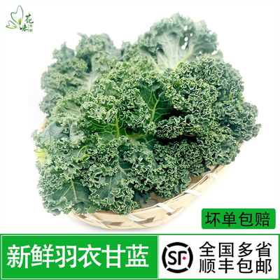 kale蔬菜沙拉西餐食材健身榨汁