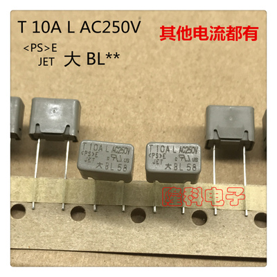 大BL保险丝管大体积10A250V