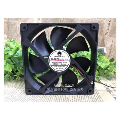 R1225Y24BPLP1s-724V0.43A