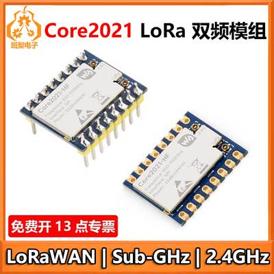 Core2021 LoRa LR2021 HF LF双频模组SPI LoRaWAN Sub-GHz/2.4GHz