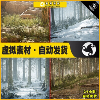 UE4虚幻5Conifer Forest Biome  精品冬天针叶森林植物岩石场景