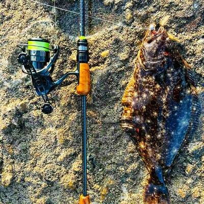 湛道直柄独药UL系列L系列路亚竿