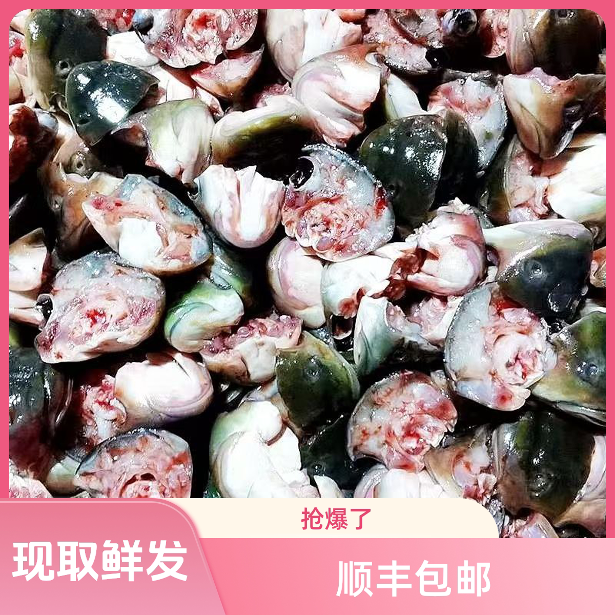 顺丰草鱼嘴白莲鱼嘴鲜活鲢鱼头现取鲜发顺丰包邮淡水鱼类