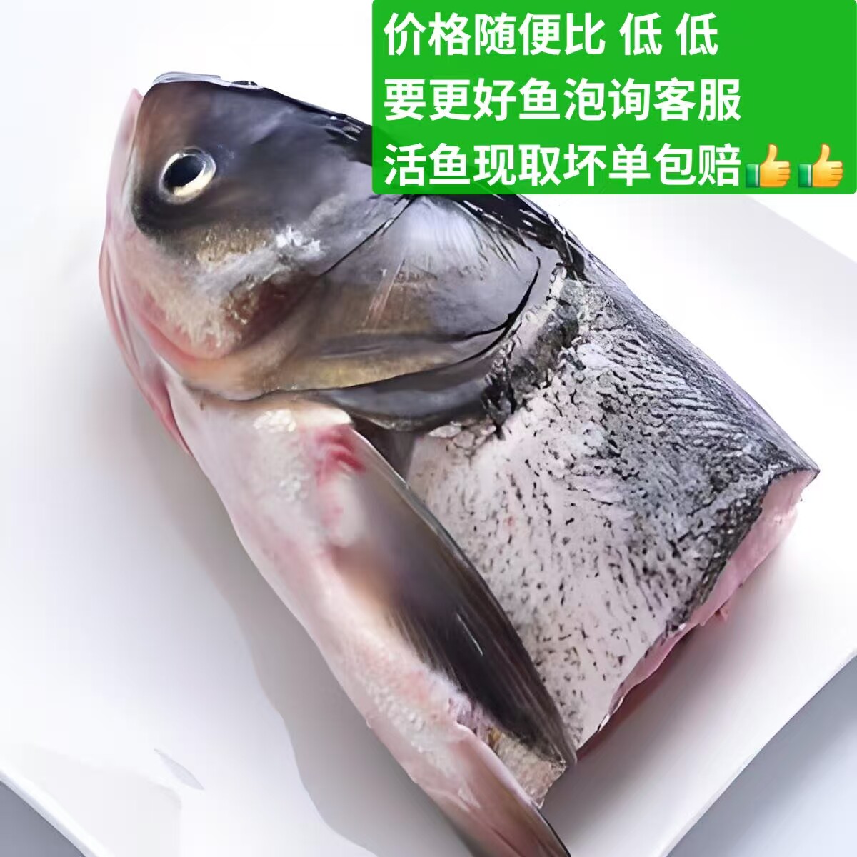 江苏淮安活鱼现取新鲜淡水鱼类生鲜冷冻食材