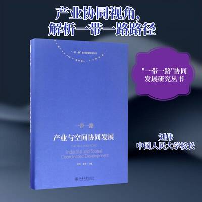 :产业与空间协同发展:industrial and spatial coordinated devel 刘伟 区域经济合作合作研究中国普通读者经济书籍北京大学出版社