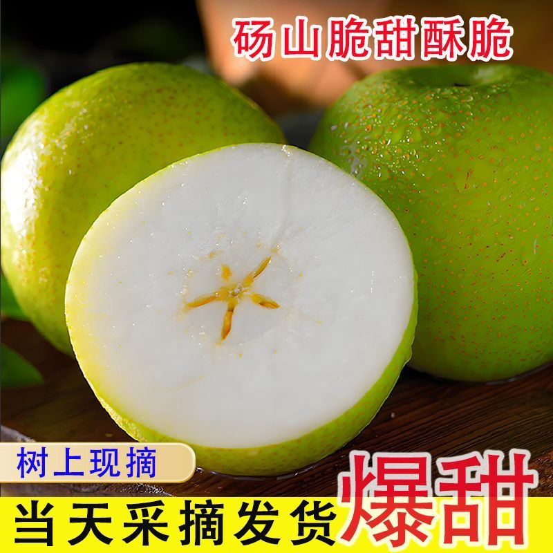 正宗砀山青皮梨薄皮当季新鲜酥脆梨水果批发整箱脆甜可口多汁梨子