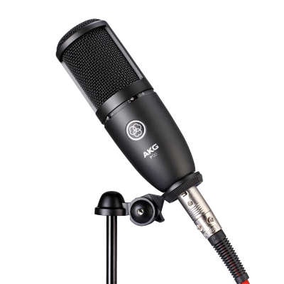 AKG/爱科技 P120/P220专业电容麦克风录音配音人声乐器大合唱话筒