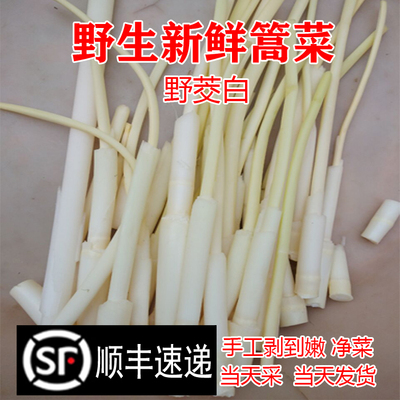 6月净高笋鲜嫩野菜茭白淮安产新鲜蔬菜水笋儿菜食用农产品酒店