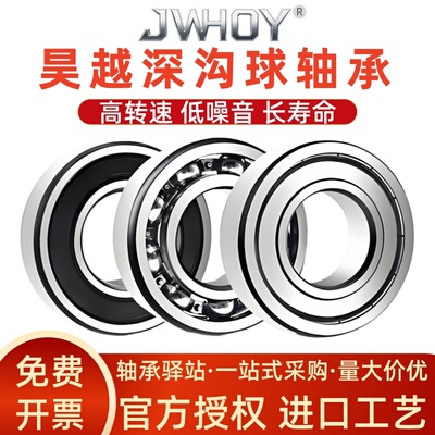 非标加宽轴承638001245-