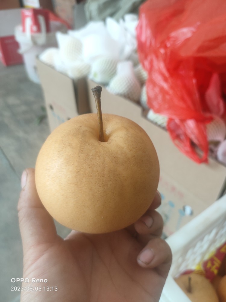 湖南资兴市清江【黄金梨】推荐十斤装/箱,不忘7-8月份水果