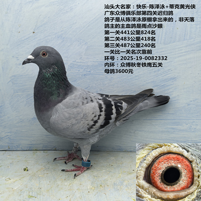 汕头大名家：陈泽泳+蒂克黄光侠 483公里418名 487公里240名