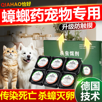 灭蟑螂药宠物无害家用非全窝猫咪狗狗友好防触摸饵剂虫卵双杀虫剂