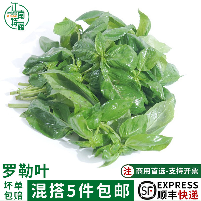 新鲜泰国甜罗勒叶100g食用泰国香料罗勒叶酱调料青酱非九层塔蔬菜
