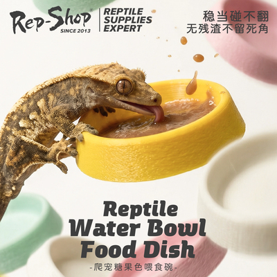 睫角守宫果泥食盆爬宠迷你喂食碗盖勾亚R属守宫蛇水盆蜥蜴虫泥碗