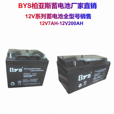 柏亚斯BYS蓄电池BY100-12免维护铅酸12V65AH24A38A17AH应急电源用