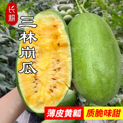 甜崩瓜种子薄皮黄肉西瓜种籽春秋四季阳台上海特产老品种水果种孑