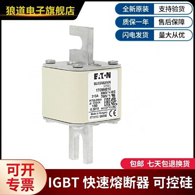 议价美国伊顿巴斯曼熔断器  170M3222  170M3223  170M4008 170M4