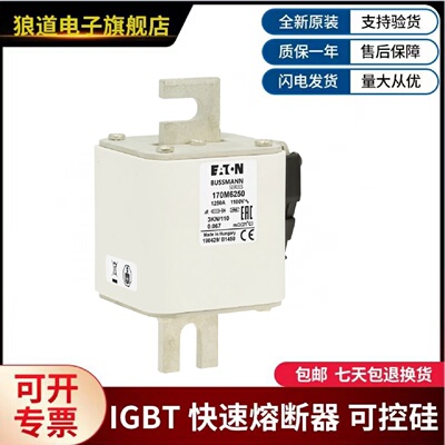 议价美国伊顿巴斯曼熔断器  170M6250  170M6251  170M3408  170M