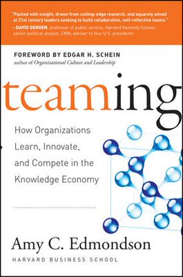 英文原版 团队运作 Teaming: How Organizations Learn, Innovate, and Compete in the Knowledge Economy