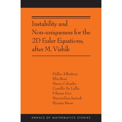 Instability and Non-uniqueness for the 2D Euler Equations, after M. Vishik 2D欧拉方程的不稳定性和非*性，M.维希克后续：(