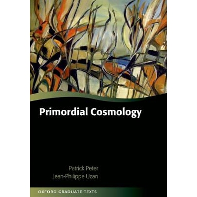 Primordial Cosmology 宇宙本原论 9780199665150