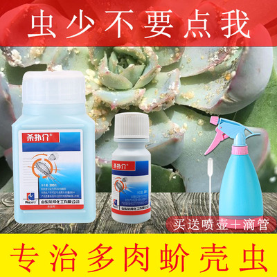多肉蚧壳虫专用杀虫剂杀扑介农药