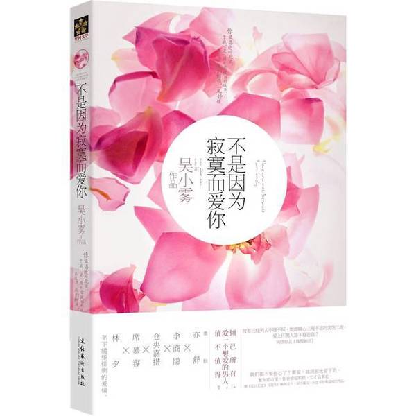 正版  不是因为寂寞而爱你  吴小雾著 文化艺术出版社