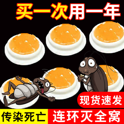 碧之道蟑螂药家用神器