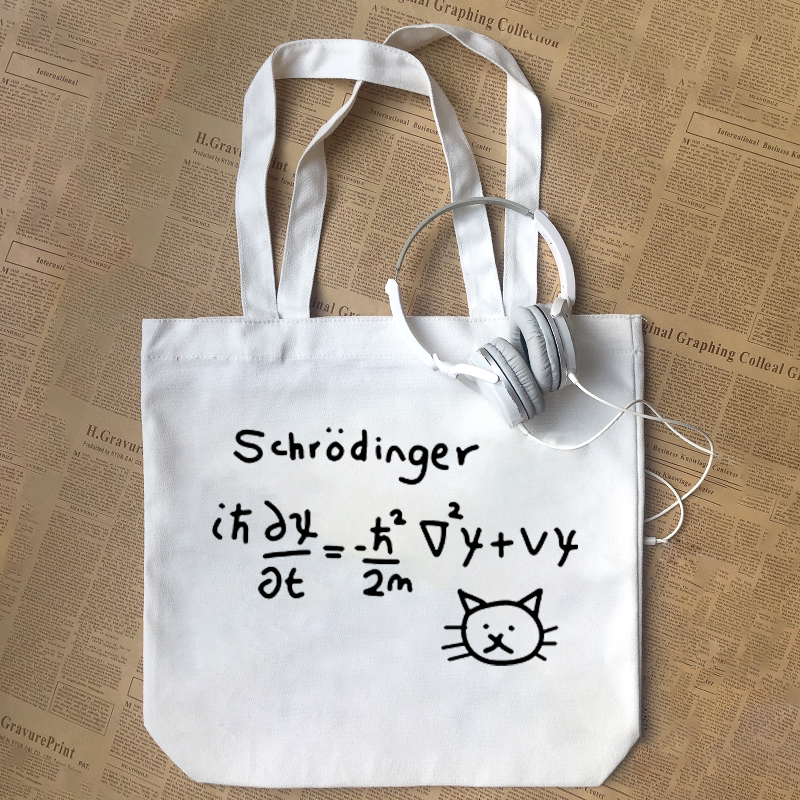 Schrodinger’s Cat薛定谔的猫手绘物理公式定制有趣文字潮帆布包