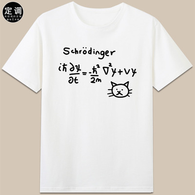 Schrodinger’s Cat薛定谔的猫手绘物理公式短袖纯棉短袖t恤衣服